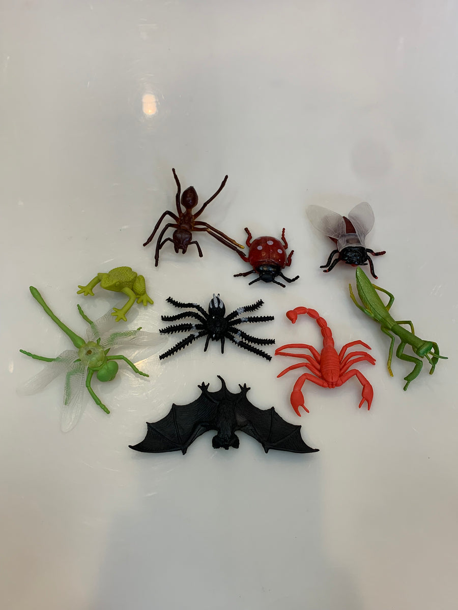 Craft Insects| Twinkle Star Baby & Party Store